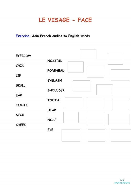 LE VISAGE - FACE WORKSHEET. Fiche interactive | TopWorksheets