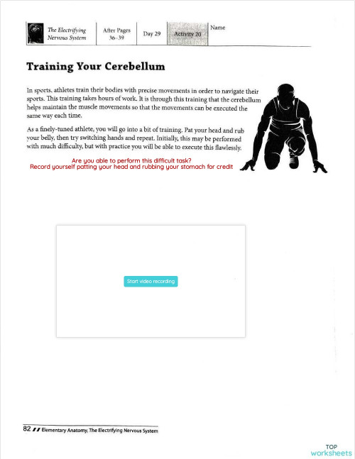 Activity 20: Training your Cerebellum Pg 82. Interactive worksheet ...