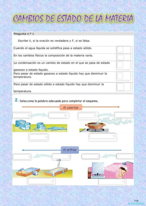 CAMBIOS DE ESTADO DE LA MATERIA. Ficha interactiva | TopWorksheets