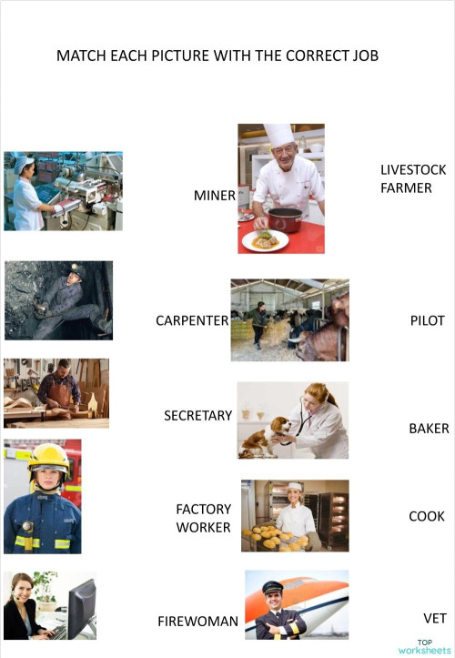 JOBS, THREE SECTORS. Interactive worksheet | TopWorksheets