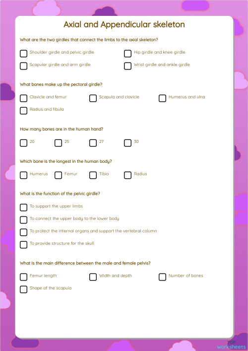 Axial and Appendicular skeleton. Interactive worksheet | TopWorksheets