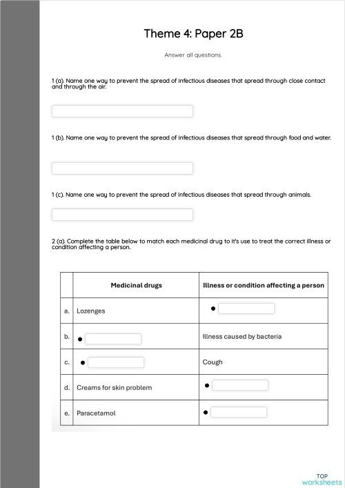 Theme 4: Paper 2B. Interactive worksheet | TopWorksheets