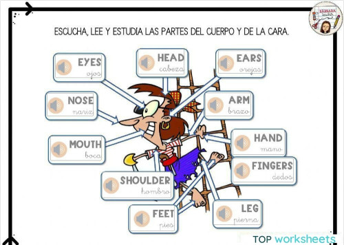 Parts Of The Body Revision Interactive Worksheet Topworksheets