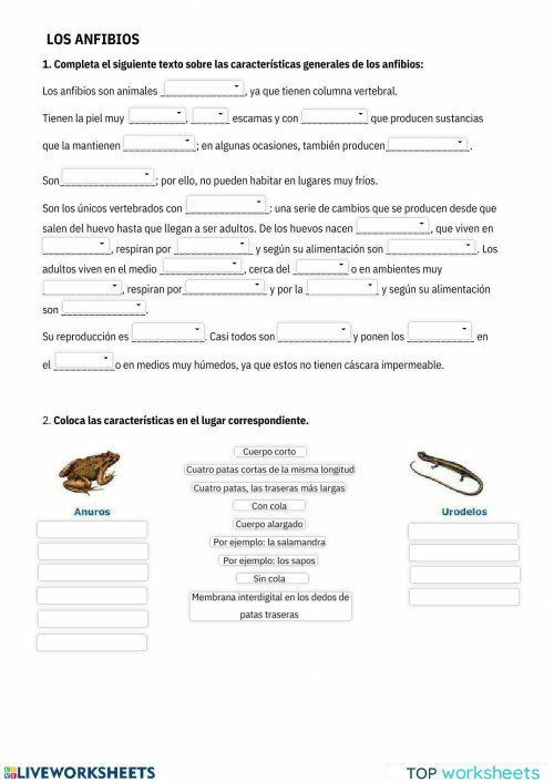 Repaso anfibios. Ficha interactiva | TopWorksheets