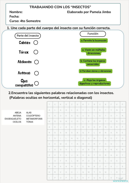 Ciclo del carbono. Ficha interactiva | TopWorksheets
