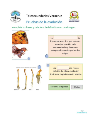 Pruebas de la evolución. Ficha interactiva | TopWorksheets