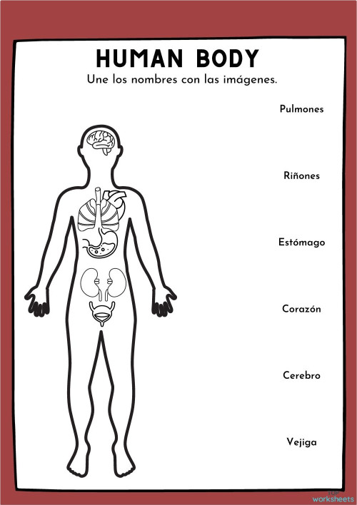 Prueba número 1. Ficha interactiva | TopWorksheets