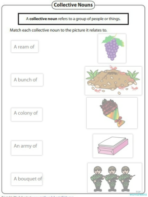 collective Noun. Interactive worksheet | TopWorksheets