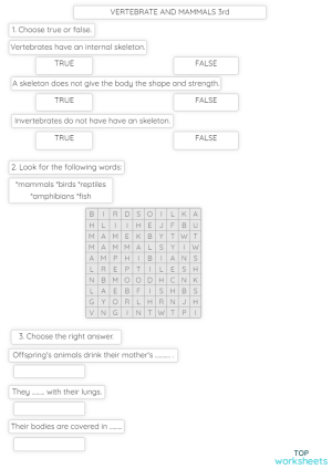 VERTEBRATE AND MAMMALS 3 rd. Interactive worksheet | TopWorksheets