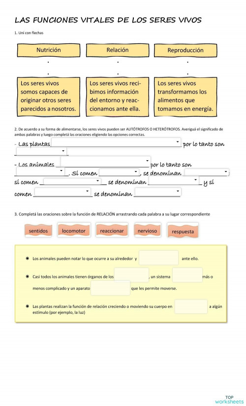 Funciones vitales de los seres vivos. Ficha interactiva | TopWorksheets