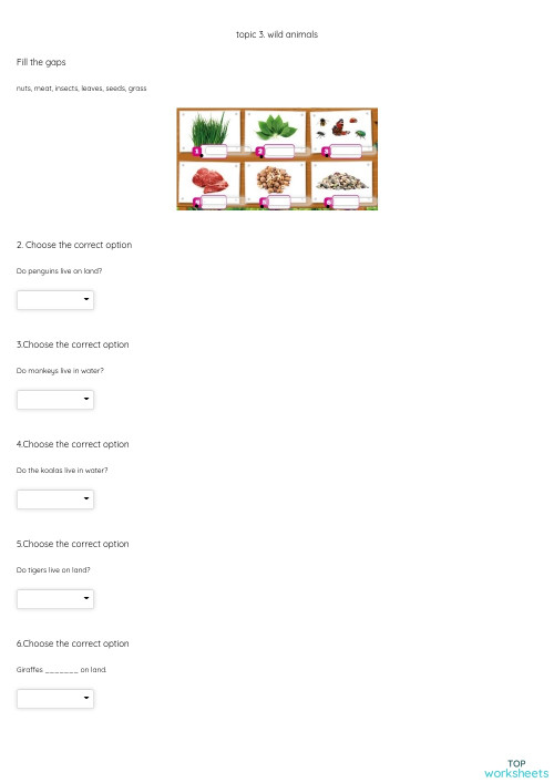 Rose Moreno's public page | TopWorksheets