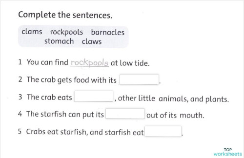 At the beach part 3. Interactive worksheet | TopWorksheets