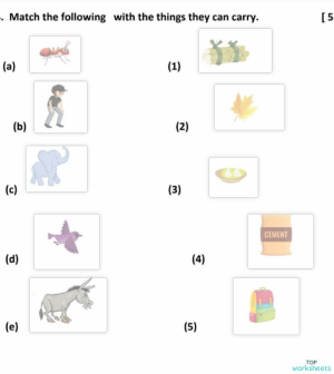 Math Revision Test. Interactive worksheet | TopWorksheets