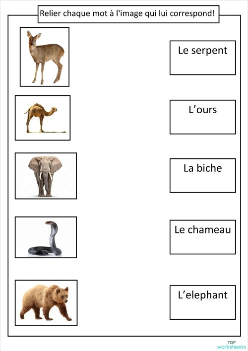 Les animaux exercice 3. Fiche interactive | TopWorksheets