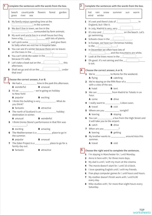 Simple Past Interactive Worksheet Topworksheets