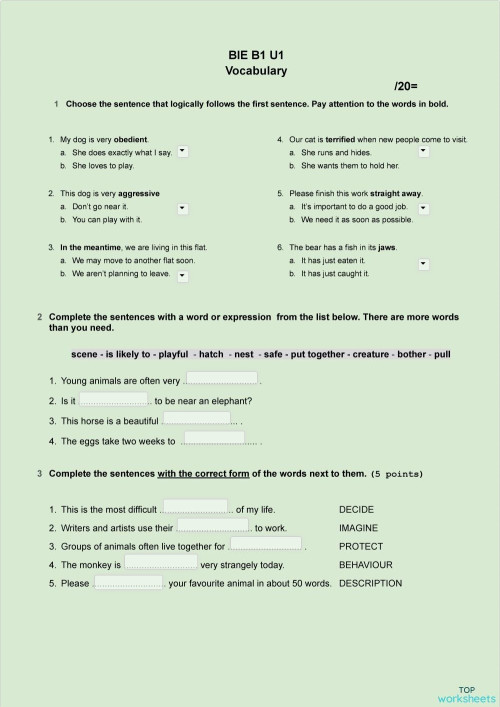 B1 U1 Vocabulary. Interactive worksheet | TopWorksheets