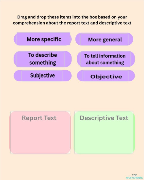 Descriptive Text. Interactive worksheet | TopWorksheets