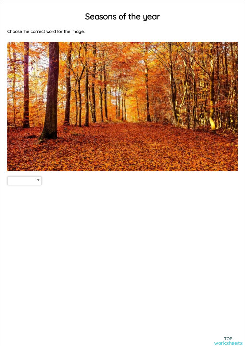 Seasons of the year. Interactive worksheet | TopWorksheets