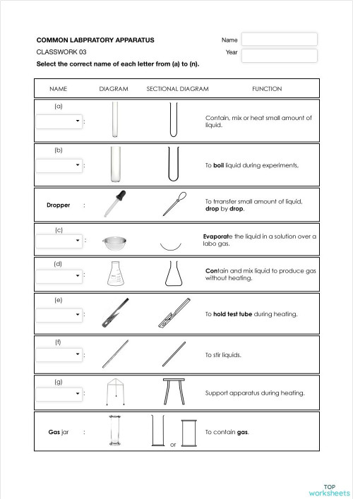 CW 03 Common Laboratory Apparatus. Interactive worksheet | TopWorksheets
