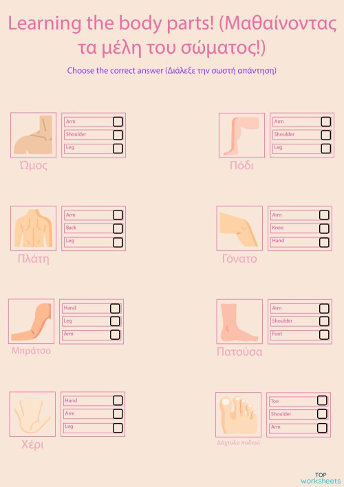 Learning the body parts. Interactive worksheet | TopWorksheets