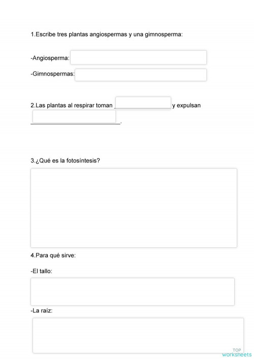 LAS PLANTAS. Ficha interactiva | TopWorksheets