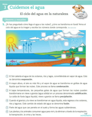 El ciclo del agua. Ficha interactiva | TopWorksheets