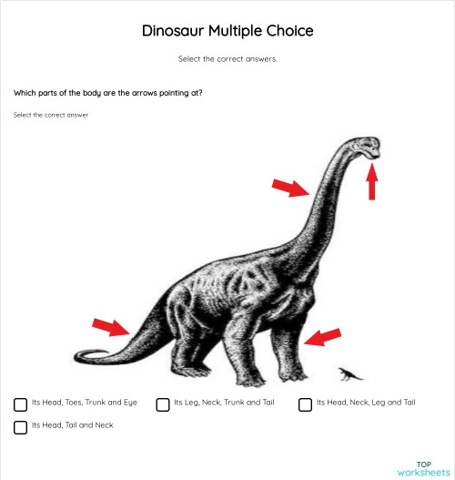 Dinosaur Multiple Choice. Interactive worksheet | TopWorksheets
