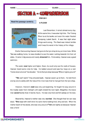 Comprehension (A Flood). Interactive worksheet | TopWorksheets