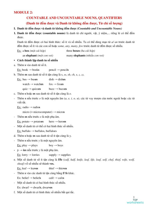 GRADE 9 _ NOUNS _ DANH TỪ. Interactive worksheet | TopWorksheets
