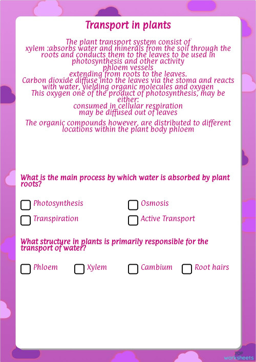 Transport in plants. Interactive worksheet | TopWorksheets