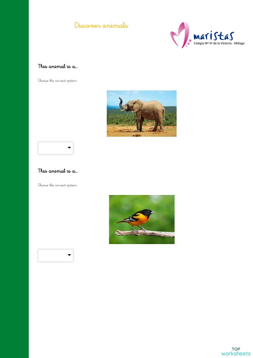 Discover animals. Interactive worksheet | TopWorksheets