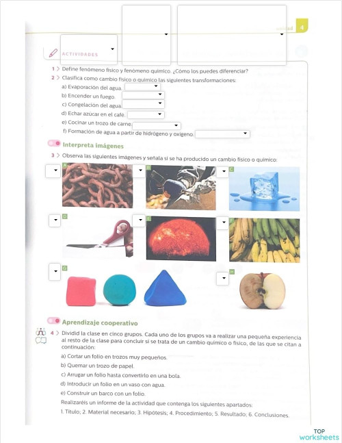 Cambios físicos y químicos. Ficha interactiva | TopWorksheets