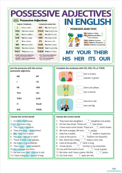 possessive adjectives: interactive worksheets and online exercises ...