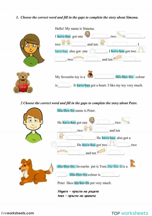 Describing people, toys and pets. Interactive worksheet | TopWorksheets