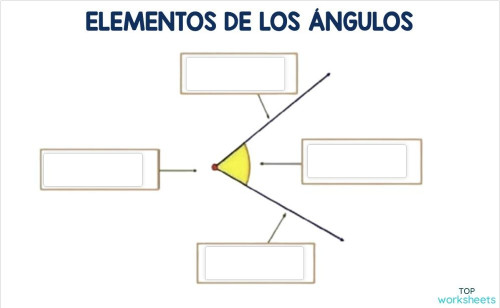ELEMENTOS DE LOS ÁNGULOS.. Ficha interactiva | TopWorksheets