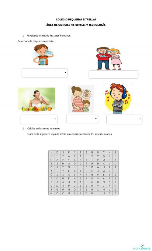 HOJA DE TRABAJO 1. Ficha interactiva | TopWorksheets