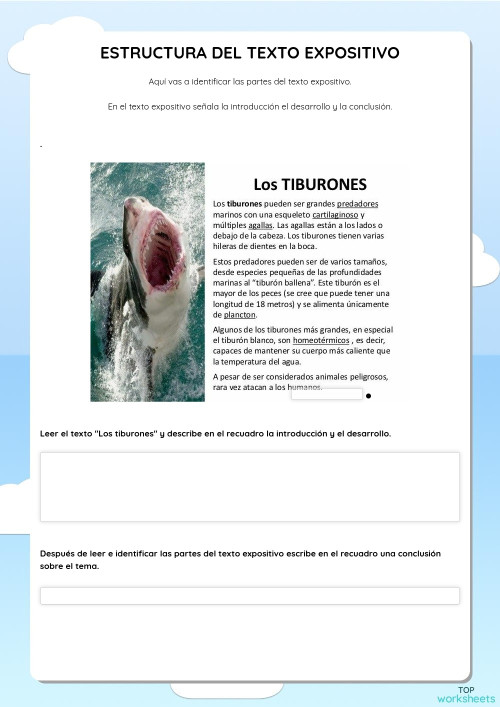 Estructura Del Texto Expositivo