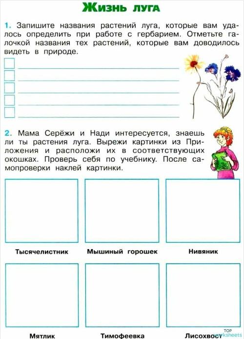 Interactive worksheets and online exercises in Russia | TopWorksheets