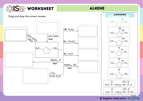 MIND MAP ALKENE. Interactive worksheet | TopWorksheets
