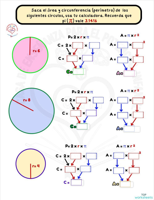 Hoja De Trabajo De Perímetro, Circunferencia Y área