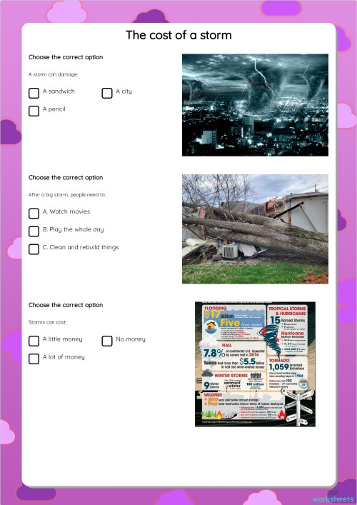 The cost of a storm. Interactive worksheet | TopWorksheets