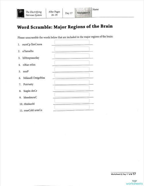 Worksheet 8: Word Scramble Pg 57. Interactive worksheet | TopWorksheets
