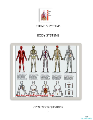 Body system test 1. Interactive worksheet | TopWorksheets