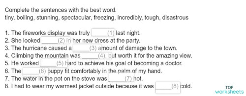 Adjectives practice. Interactive worksheet | TopWorksheets