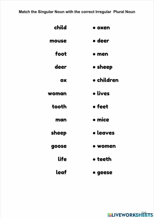 Plural Nouns (Regular and Irregular). Interactive worksheet | TopWorksheets