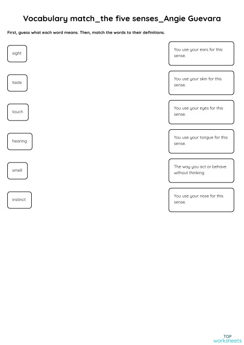 Vocabulary match_the five senses_Angie Guevara. Interactive worksheet ...