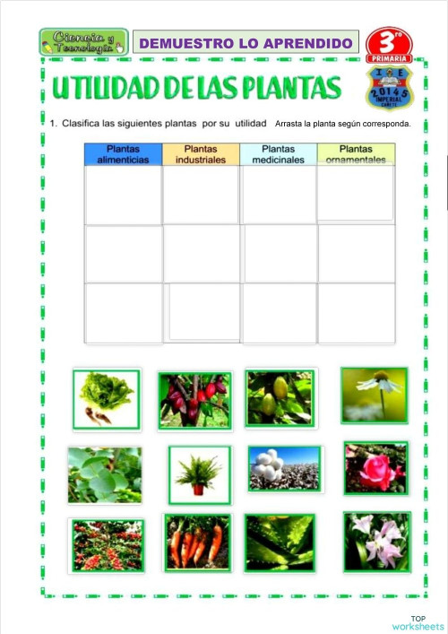 Partes De Las Plantas Hoja De Trabajo Grado 2