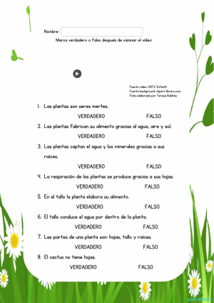 Plantas: fichas interactivas y ejercicios online | TopWorksheets