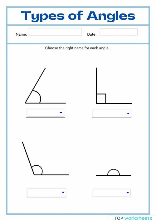 Types of Angles. Interactive worksheet | TopWorksheets
