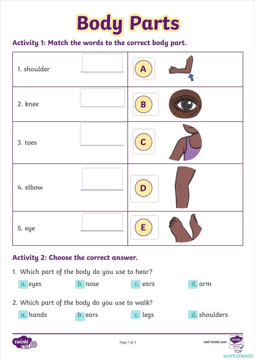 Body Parts Vocabulary A2. Interactive worksheet | TopWorksheets